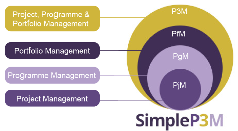 Successfully deliver portfolio(s) of projects and programmes - SimpleP3M