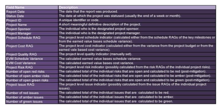 Summary report - project lifecycle - SimpleP3M